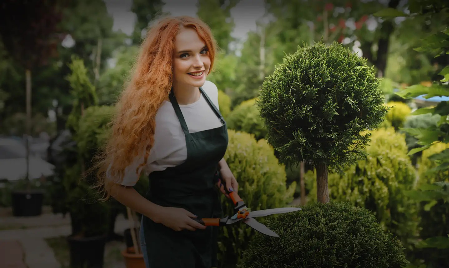 Mastering Hedge Trimming in Peckham: Tips and Techniques